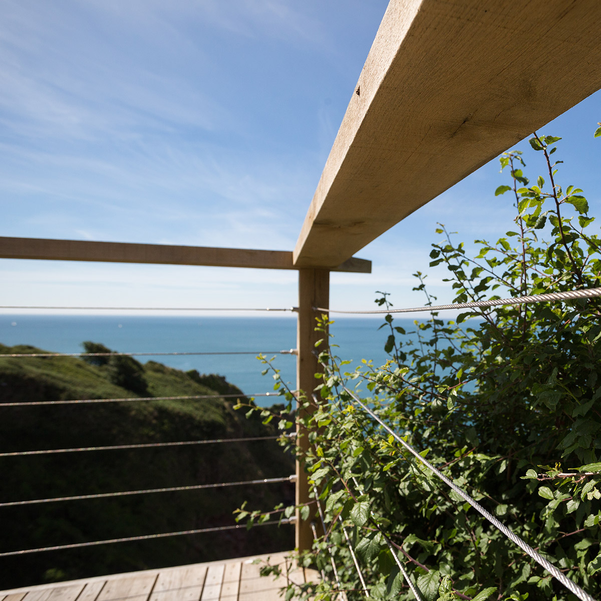 961A5726 - Leo Forte