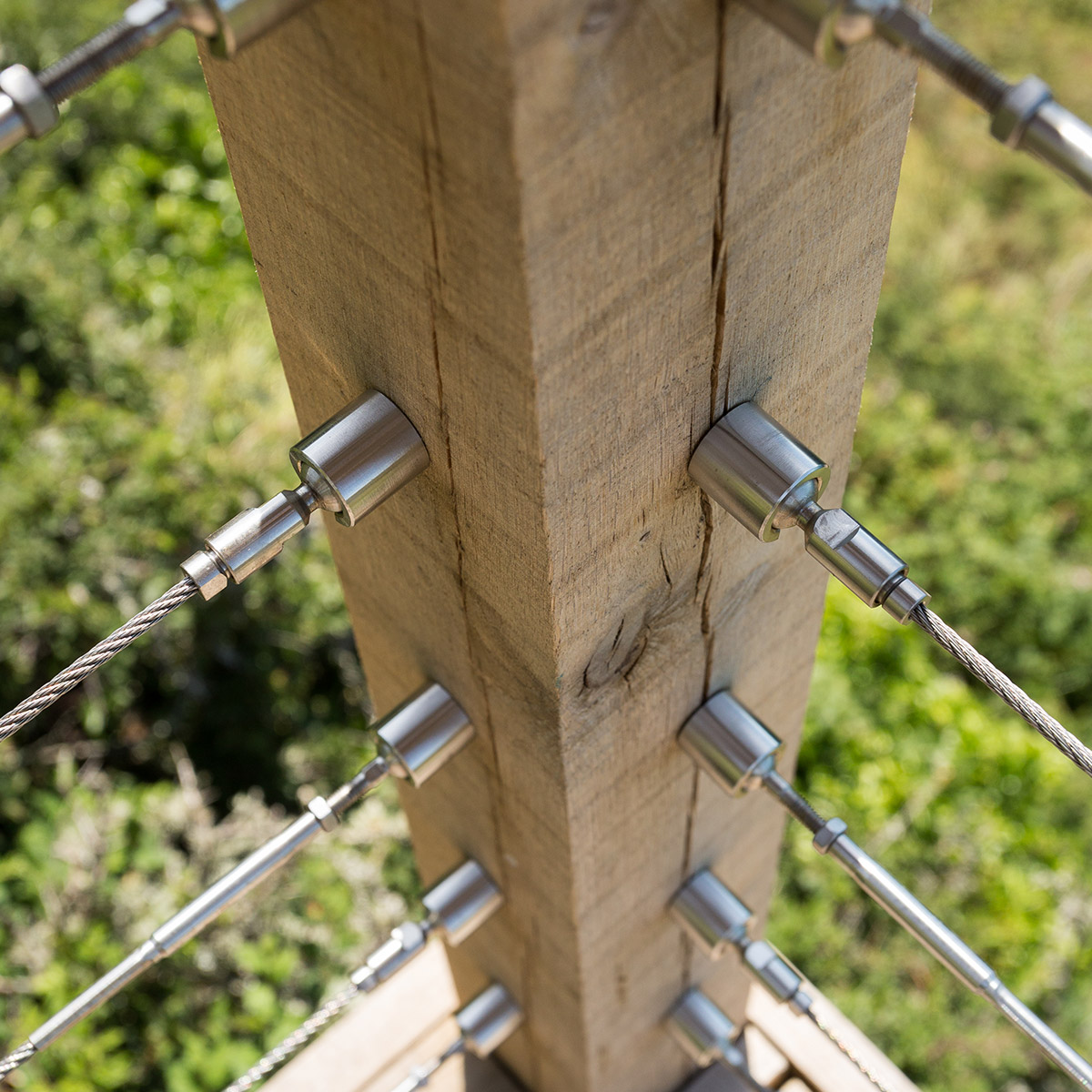 961A8936 - Leo Forte