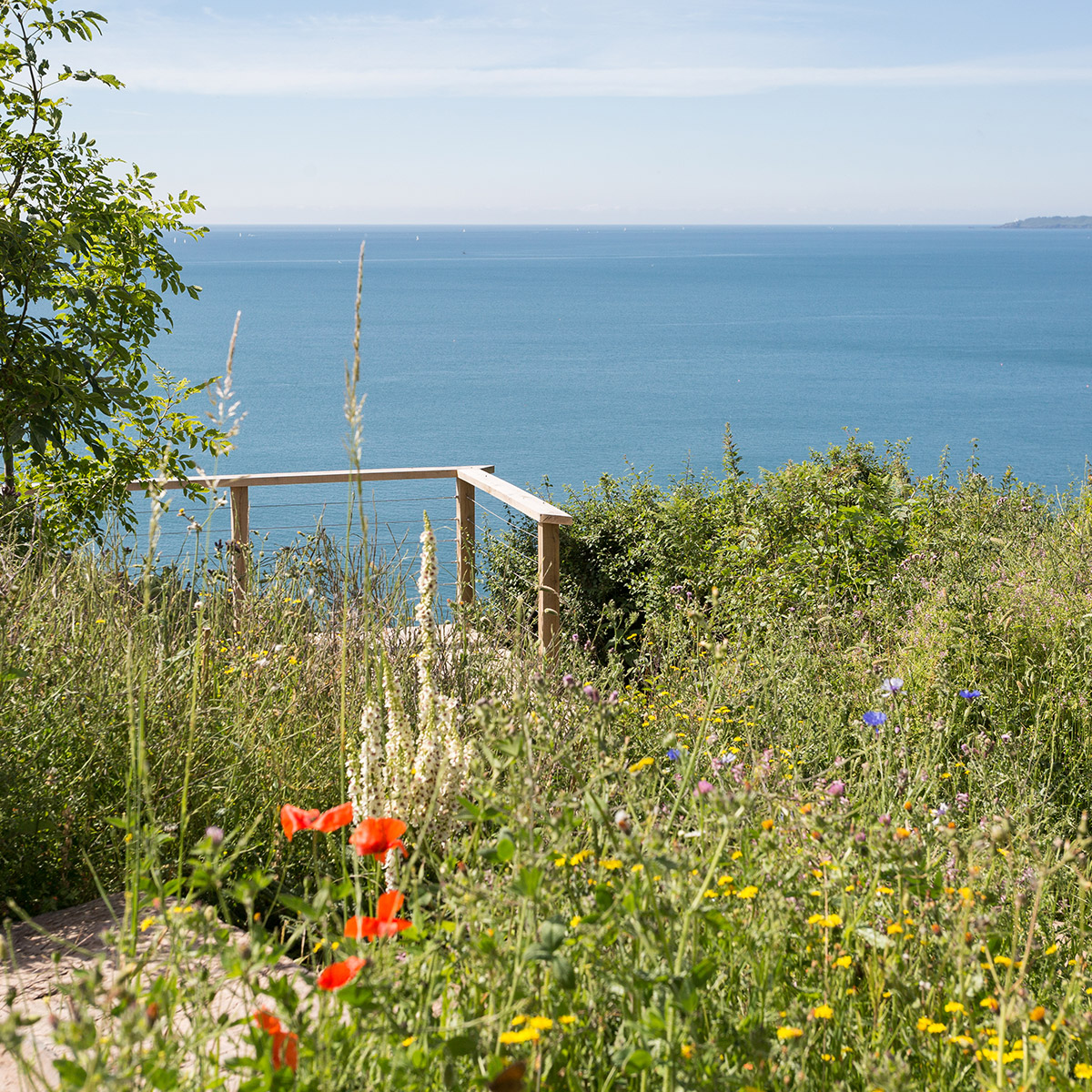 961A5726 - Leo Forte